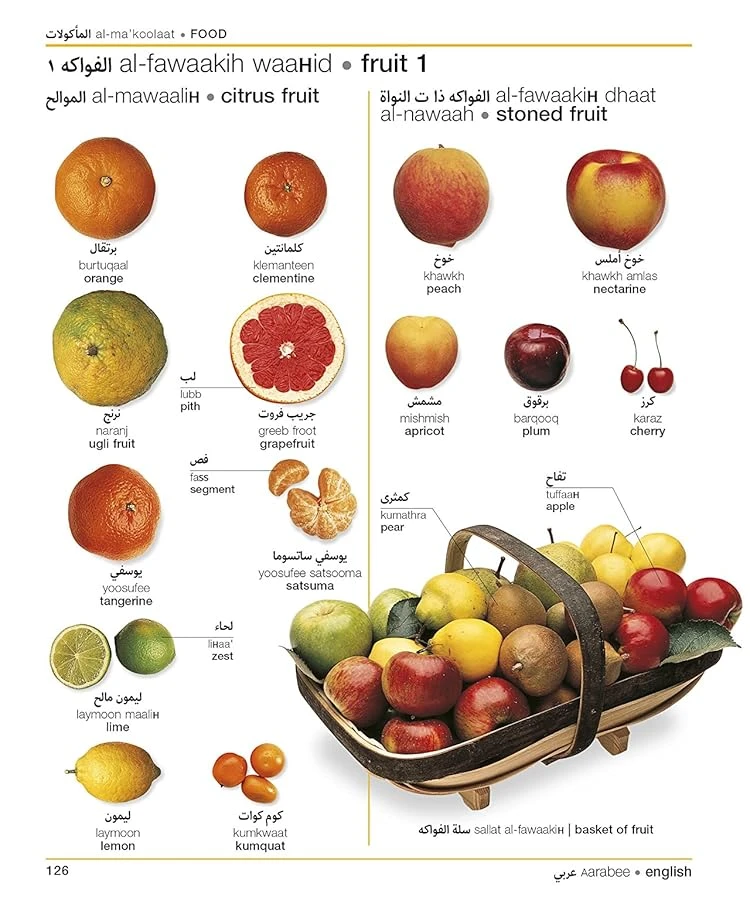 Arabic-English Visual Bilingual Dictionary with Free Audio APP ...